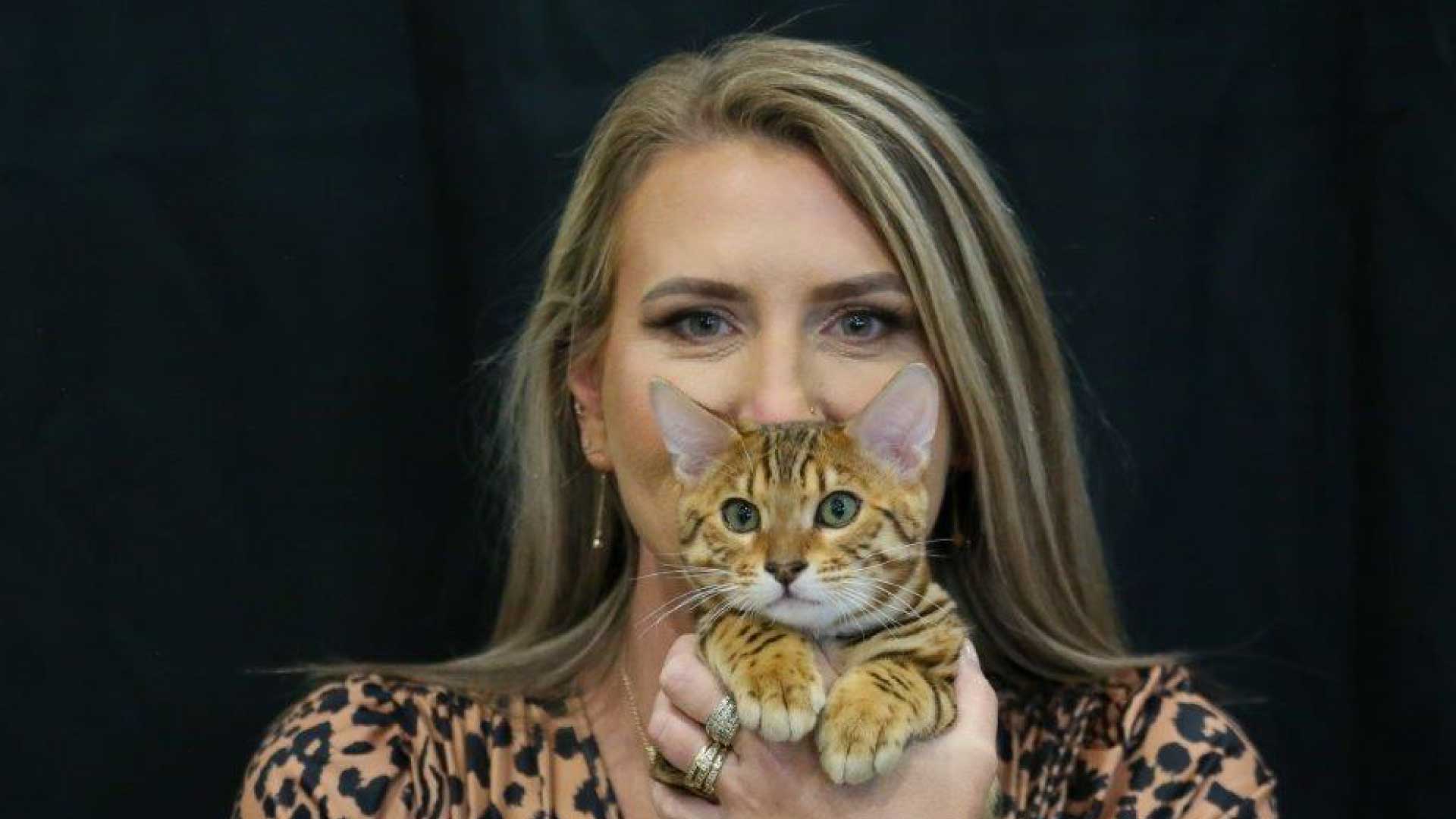 About Us | Wild Valley Bengals